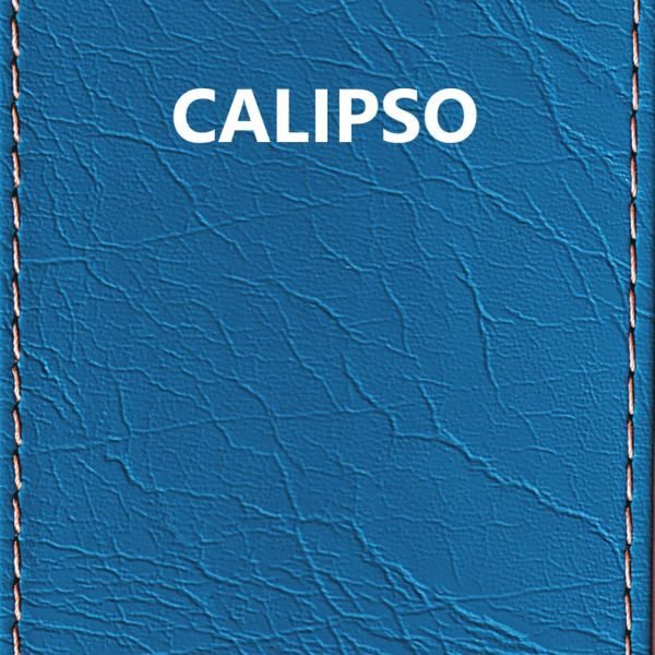 MUESTRA DE COLORES – Cueros Ecoi